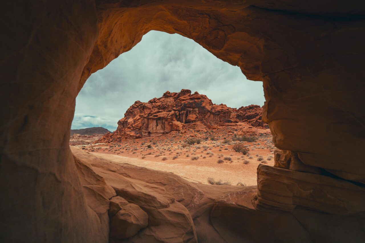 Trivia Quizzes - Game Night Live